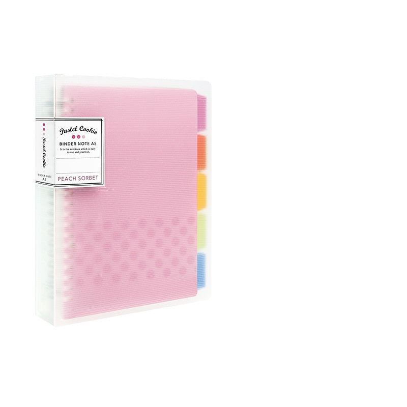 Traslucent Cover Pastel Color Binder – thepaperworm